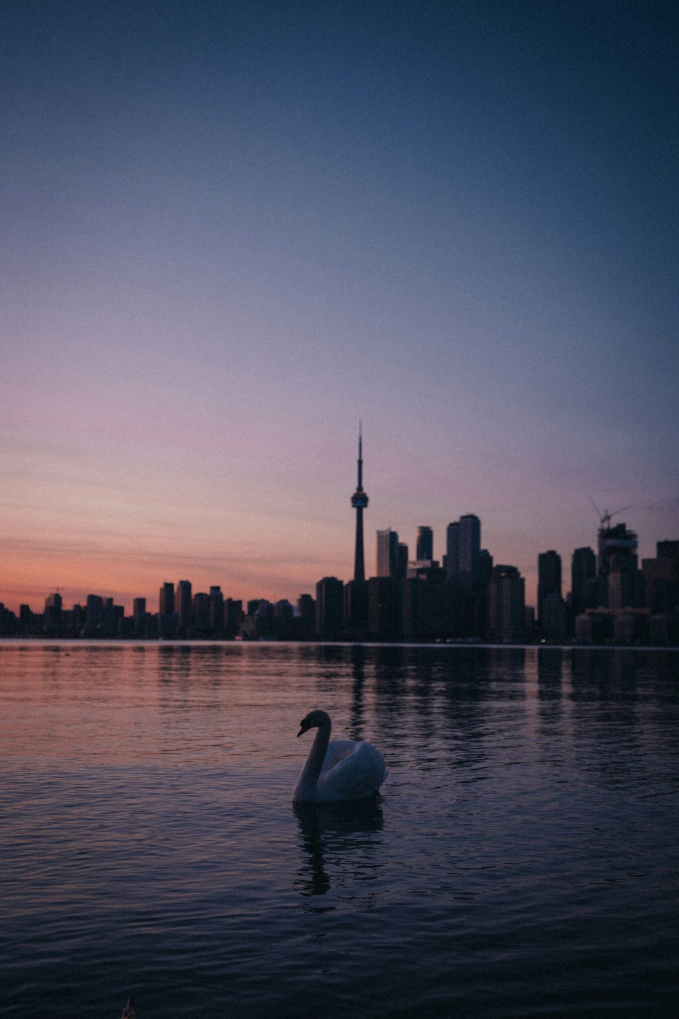 3 Mistakes to Avoid When Relocating to Toronto | Olena